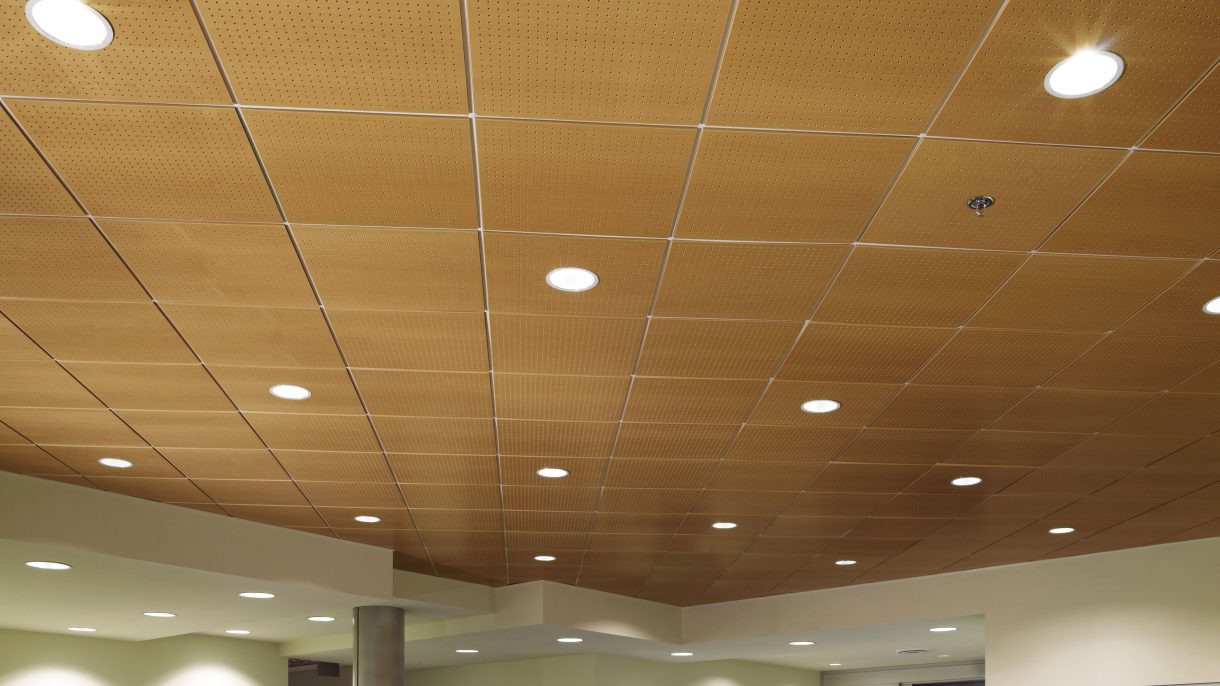 Tegular Suspended Ceiling Tiles Vs Lay‑in Tiles: Which Is Right for ...