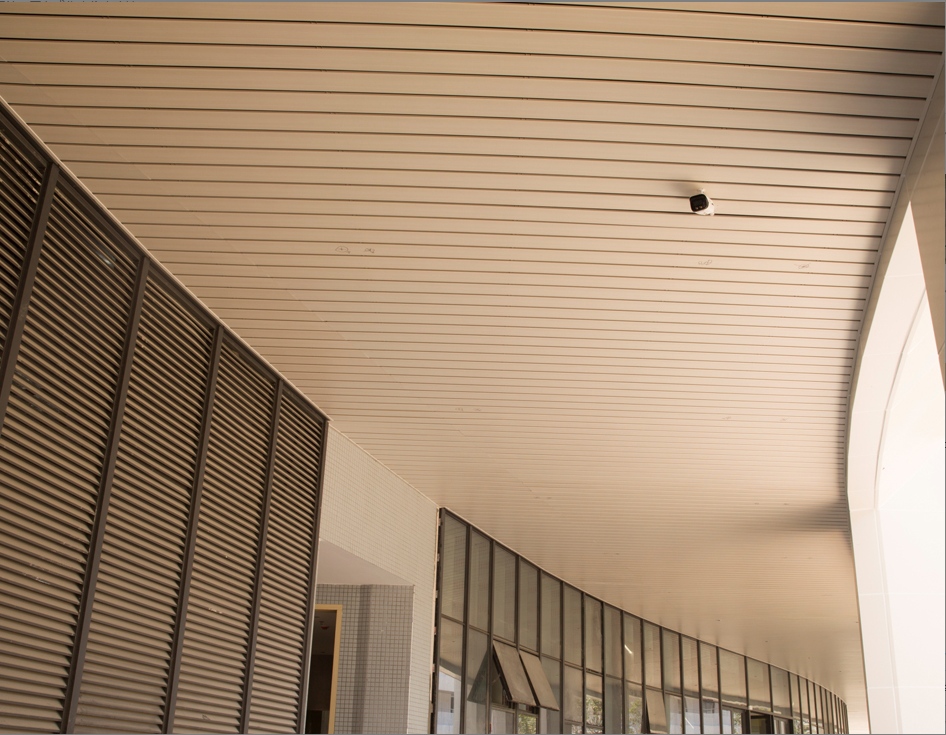 Exterior Drop Ceiling Purchasing Guide | PRANCE