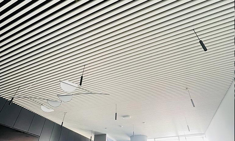 What Is the Strongest Ceiling Material? - PRANCE