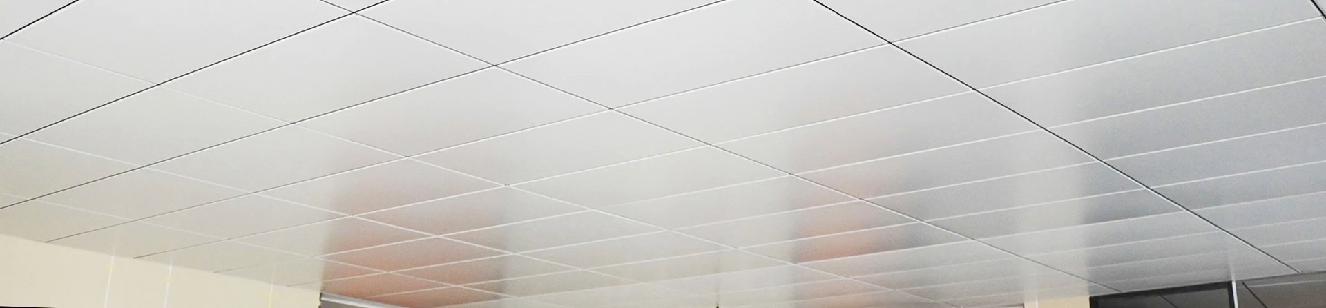 Project Gallery - PRANCE