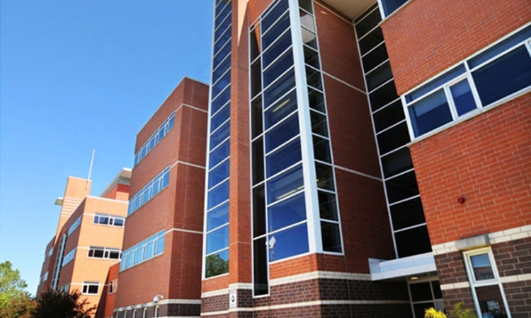 ¿Qué paneles de techo son mejores para usar en las escuelas? - PRANCIA