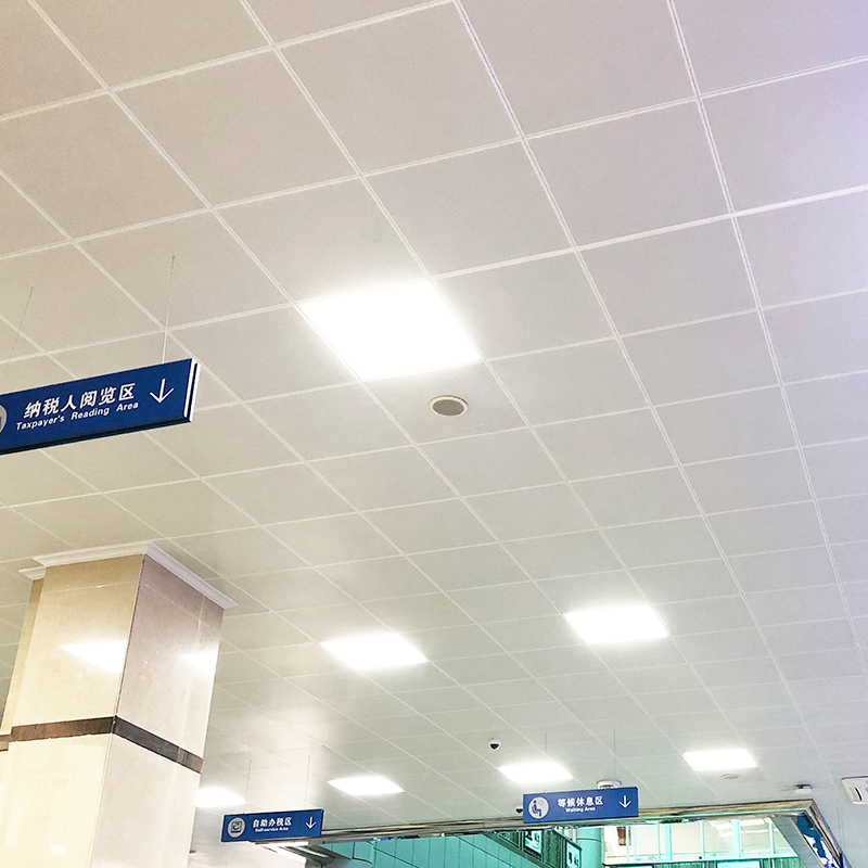 Custom Metal Ceiling Panels Manufacturer & Supplier - PRANCE