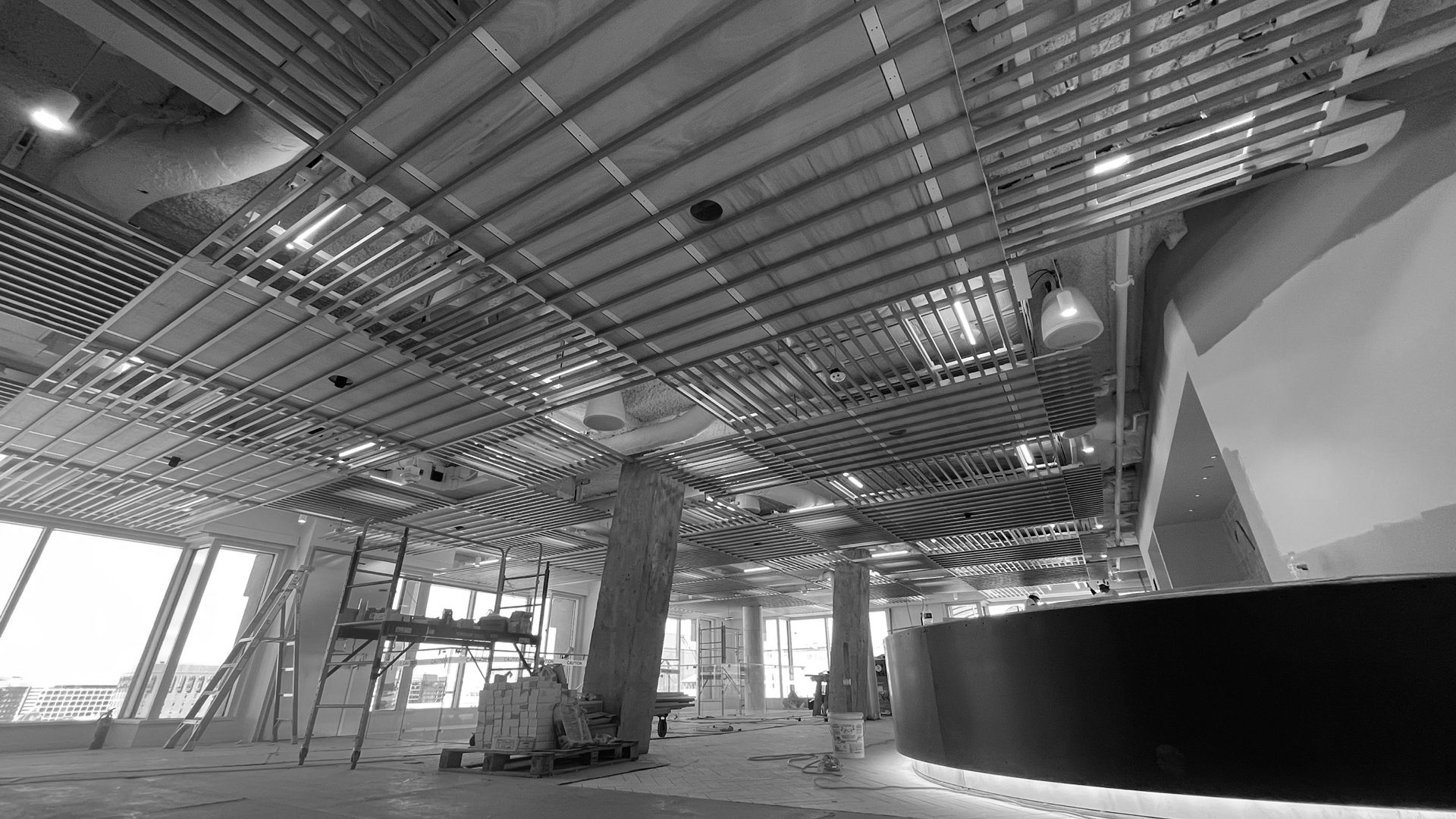Transform Your Space with Trellis Ceiling Solutions