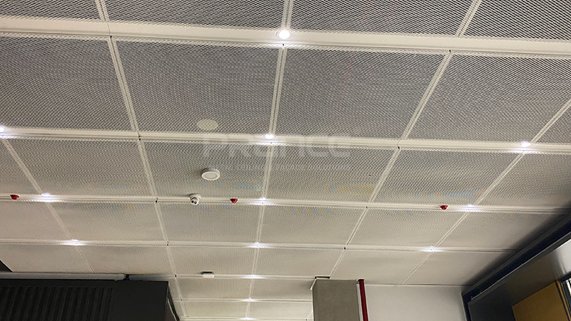 Risk-Aware Design Approaches When Integrating Mesh Ceiling Panel ...