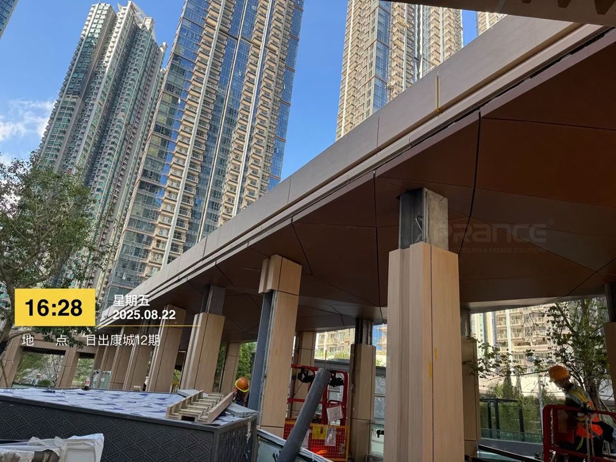 Hong Kong Skybridge Project - PRANCE