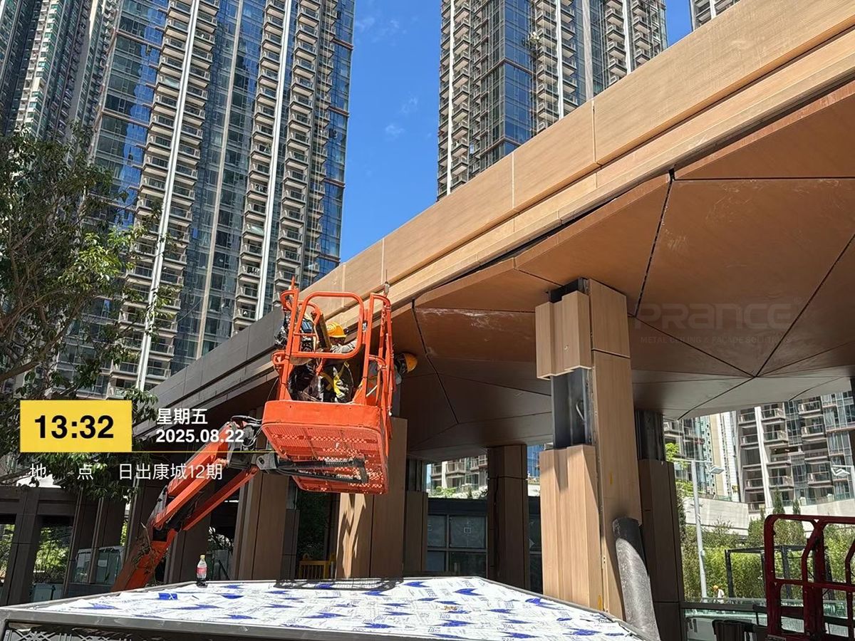 Hong Kong Skybridge Project - PRANCE