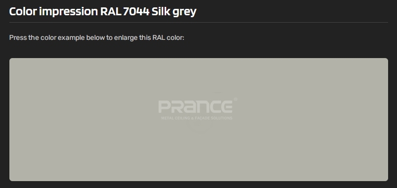 Moldova Gym Aluminum U-Baffle Ceiling Project | PRANCE