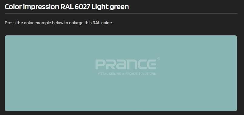 Moldova Gym Aluminum U-Baffle Ceiling Project | PRANCE