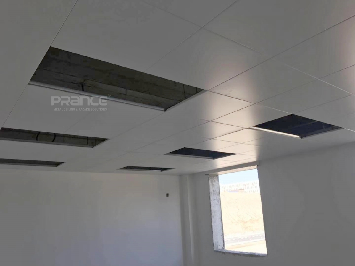 Pakistan Nuclear Power Plant Metal Ceiling and Wall Cladding Project ...