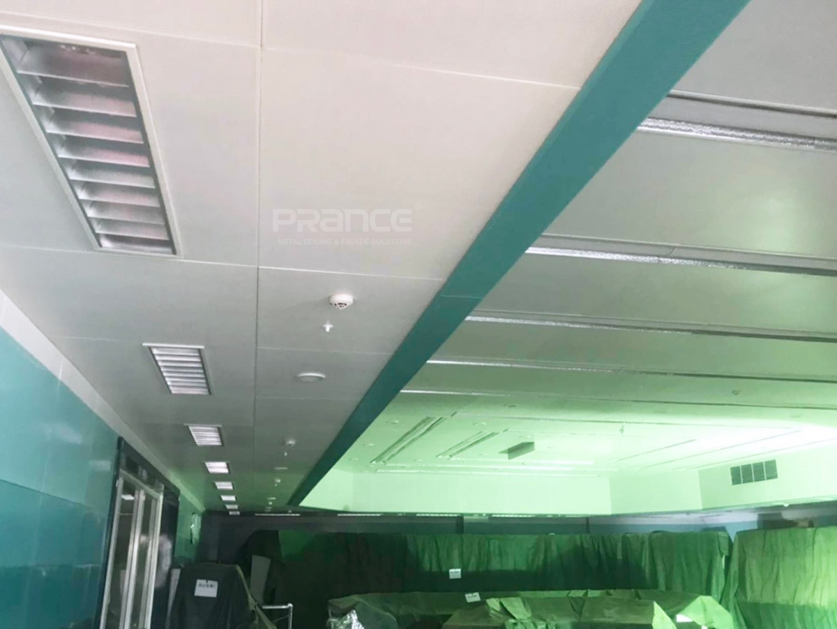 Pakistan Nuclear Power Plant Metal Ceiling and Wall Cladding Project | PRANCE