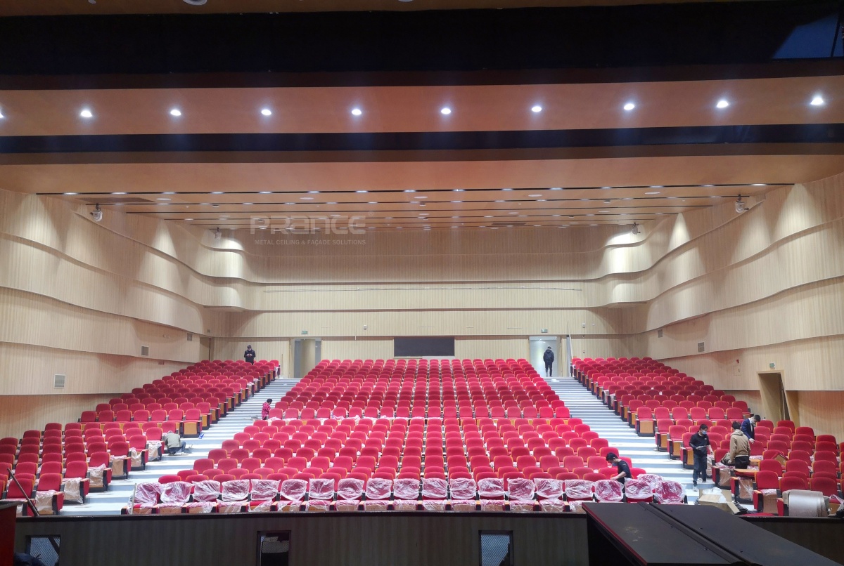 Confronto tra sistemi di pannelli per soffitti ondulati all'interno di ...